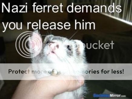 FARK.com: (7687192) If you don't know the difference between a toy ...