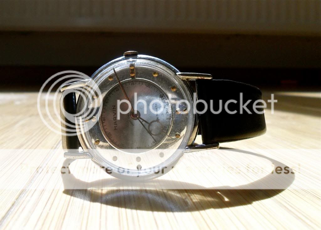 TimeZone : Vintage Watches » Transparent watch on a sunny day
